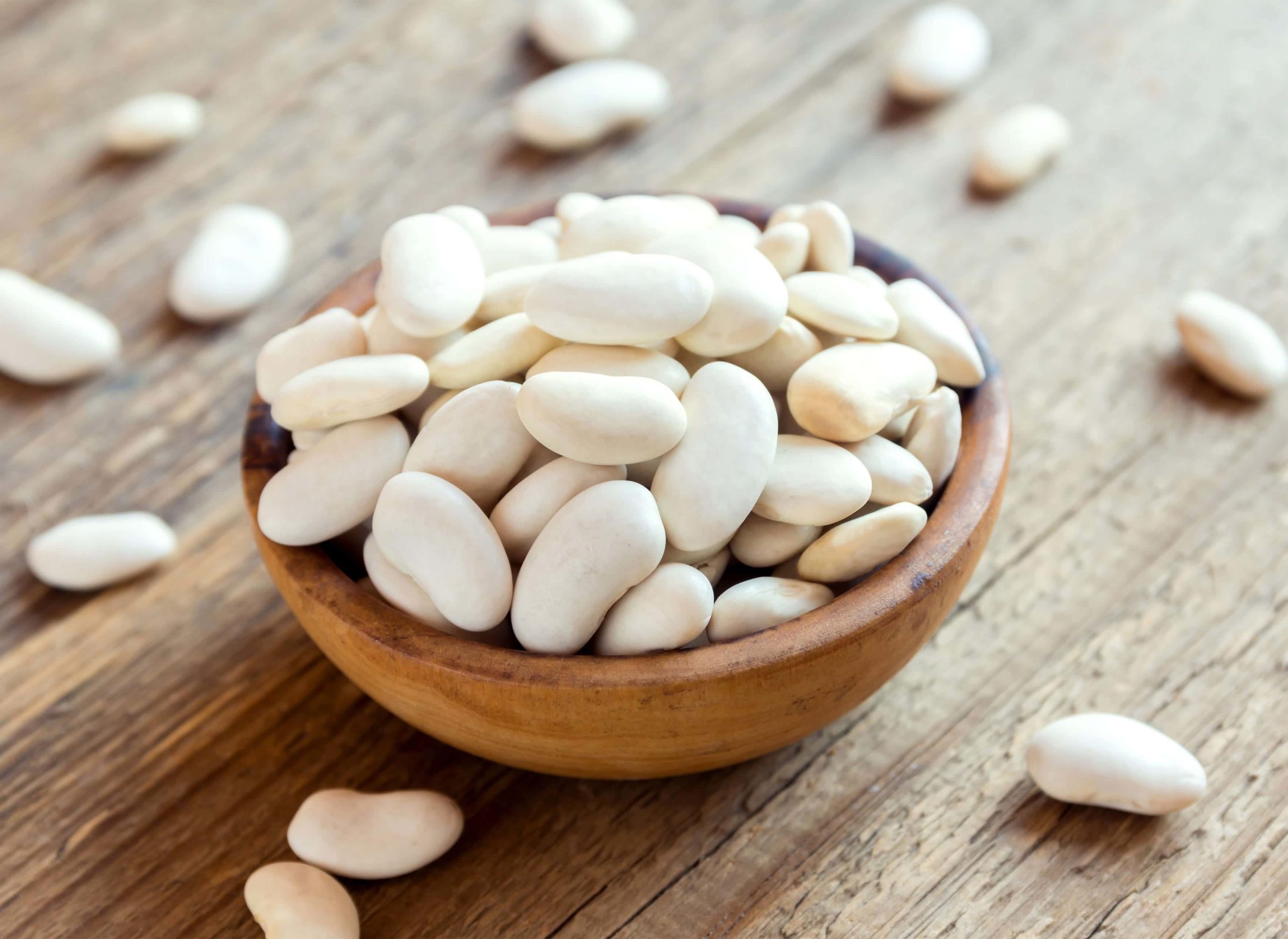 Haricots blancs préparés - Eureden Foodservice