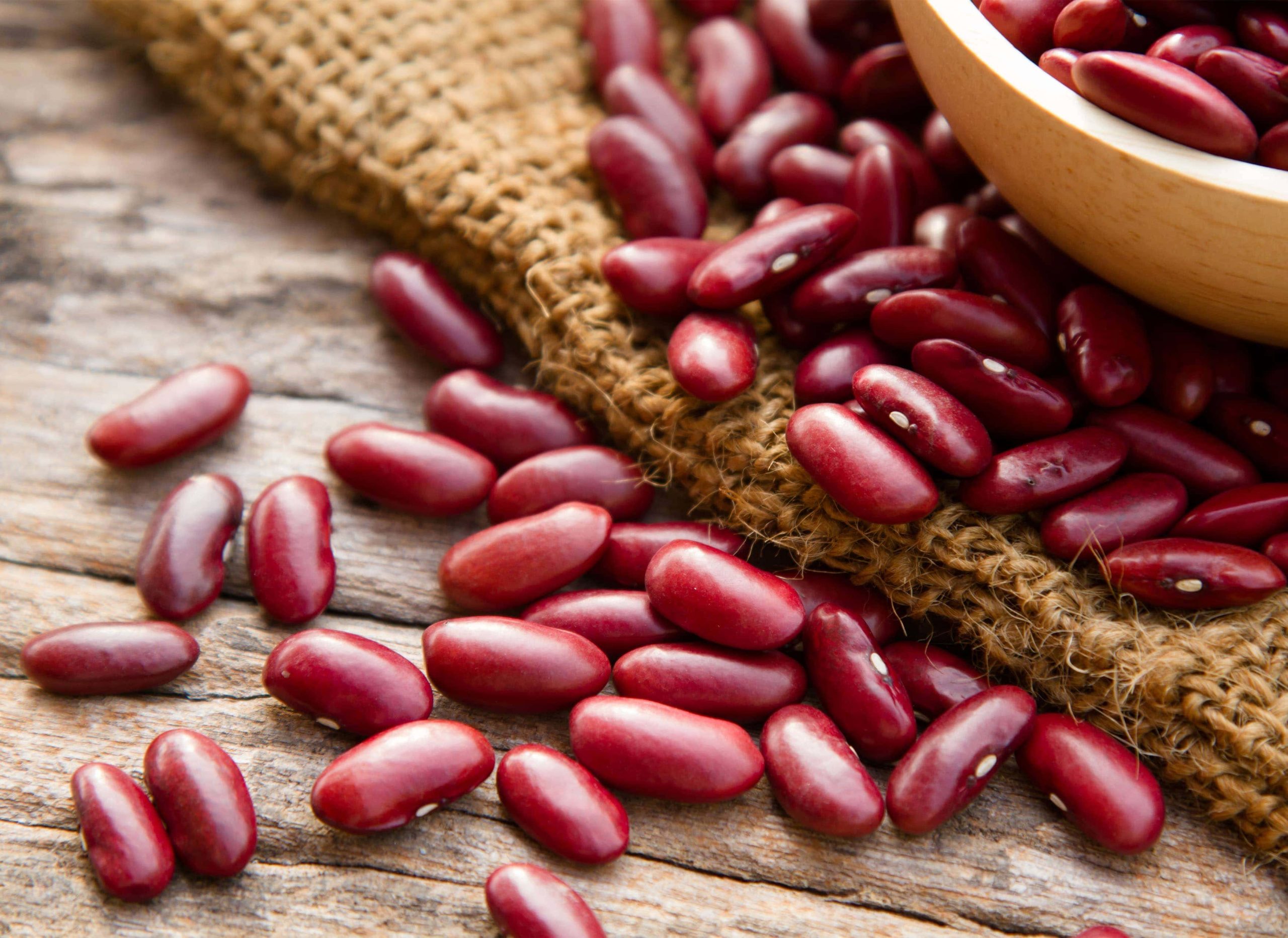 Haricots rouges - Eureden Foodservice