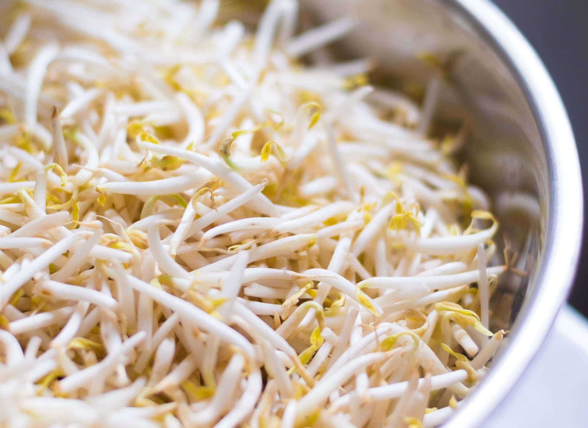 Pousses de haricots mungo | Eureden Foodservice